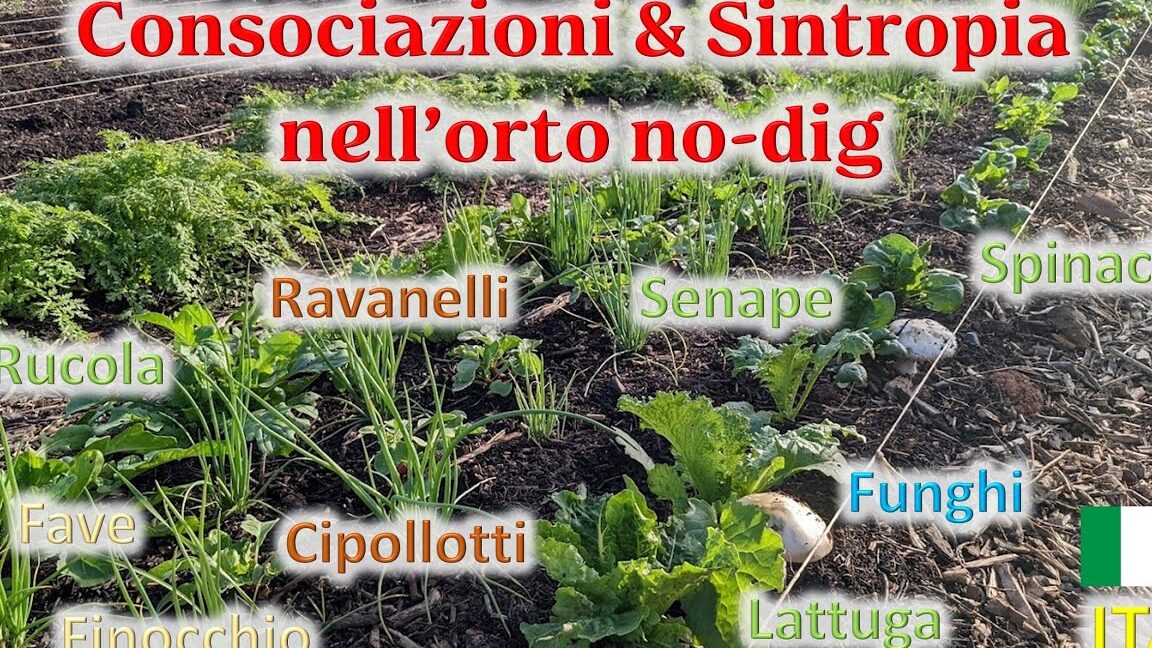 Role Play Esempi: 5 Idee Creative per Dare Vita alle Tue Sessioni di ...