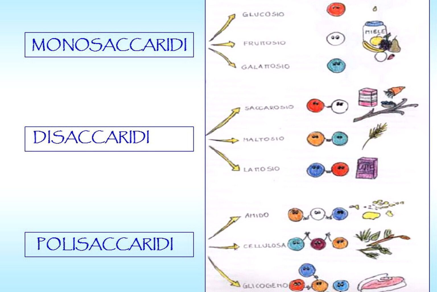 Composti Aromatici Esempi: Scopri le Caratteristiche e le Applicazioni ...